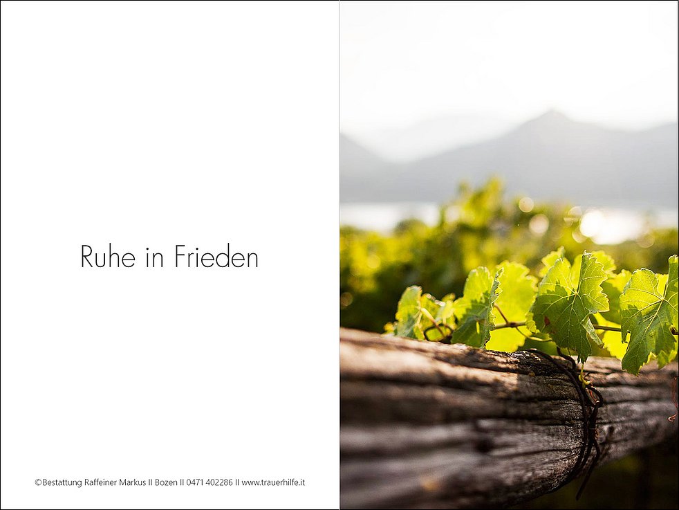 Karl Werth aus Andrian - TrauerHilfe.it - das Südtiroler Gedenkportal