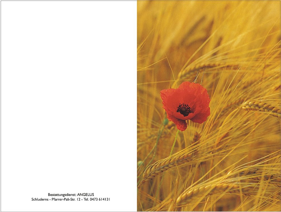 Paula Hauser aus Laas - TrauerHilfe.it - das Südtiroler Gedenkportal